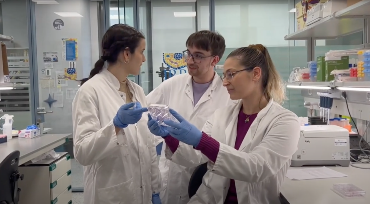 New drug reveals a key mechanism to overcome resistance to protein degraders | IRB Barcelona